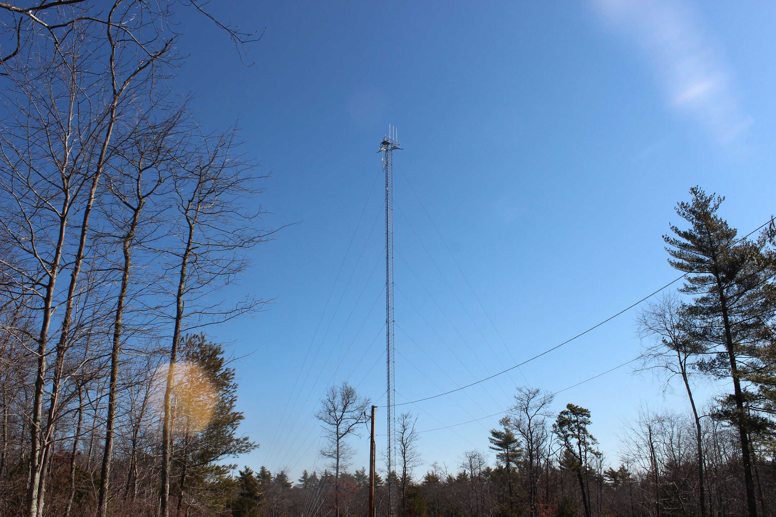 Daigle Engineers, Inc. | Structural Engineers